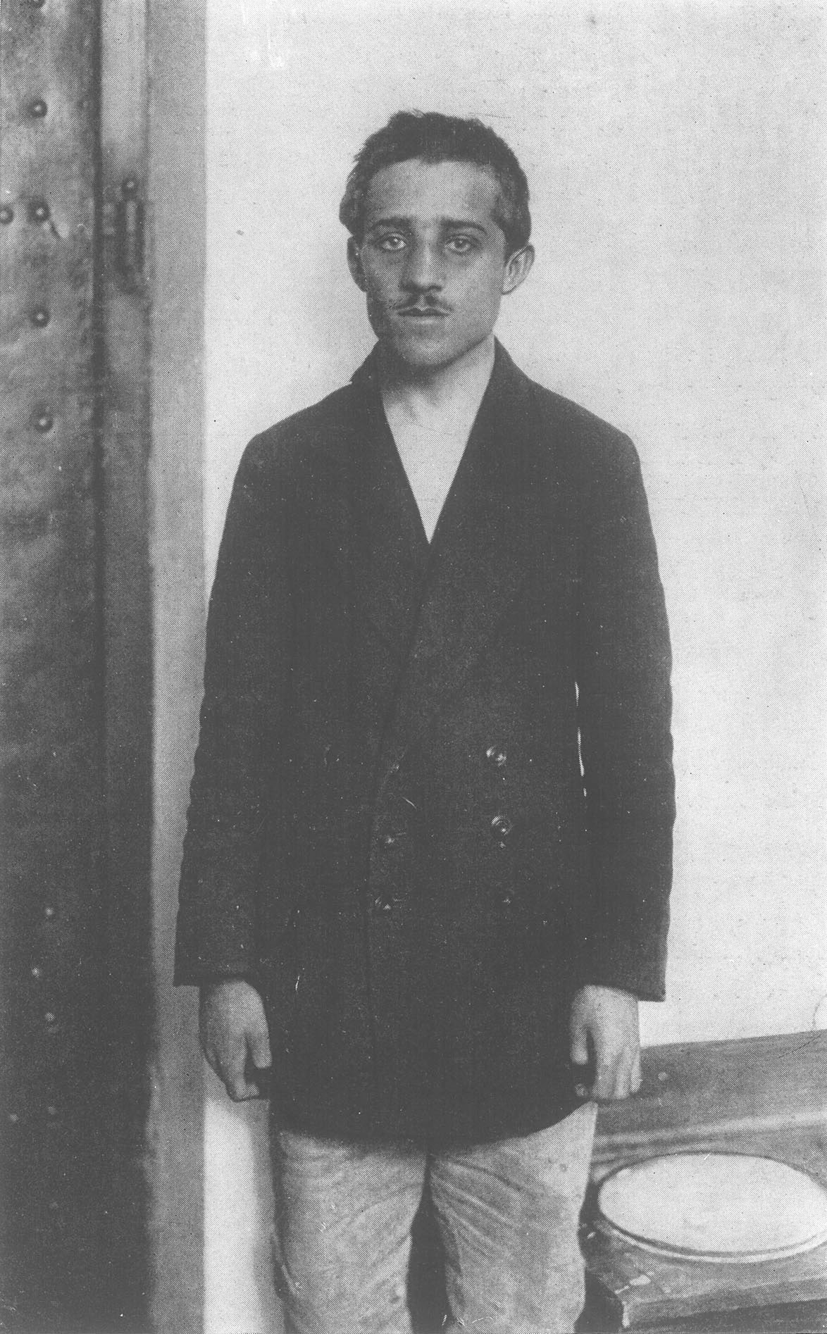 Непознате занимљивости о младости Гаврила Принципа